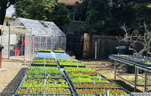 The Terrace Foundation - The Terrace Foundation The Terrace Foundation Home