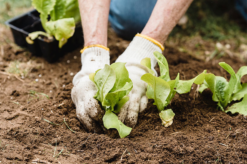 The Terrace Foundation - The Terrace Foundation The Terrace Foundation