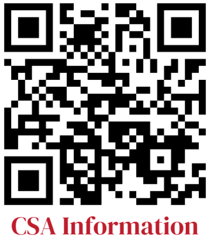 Thank you for your purchase! - The Terrace Foundation